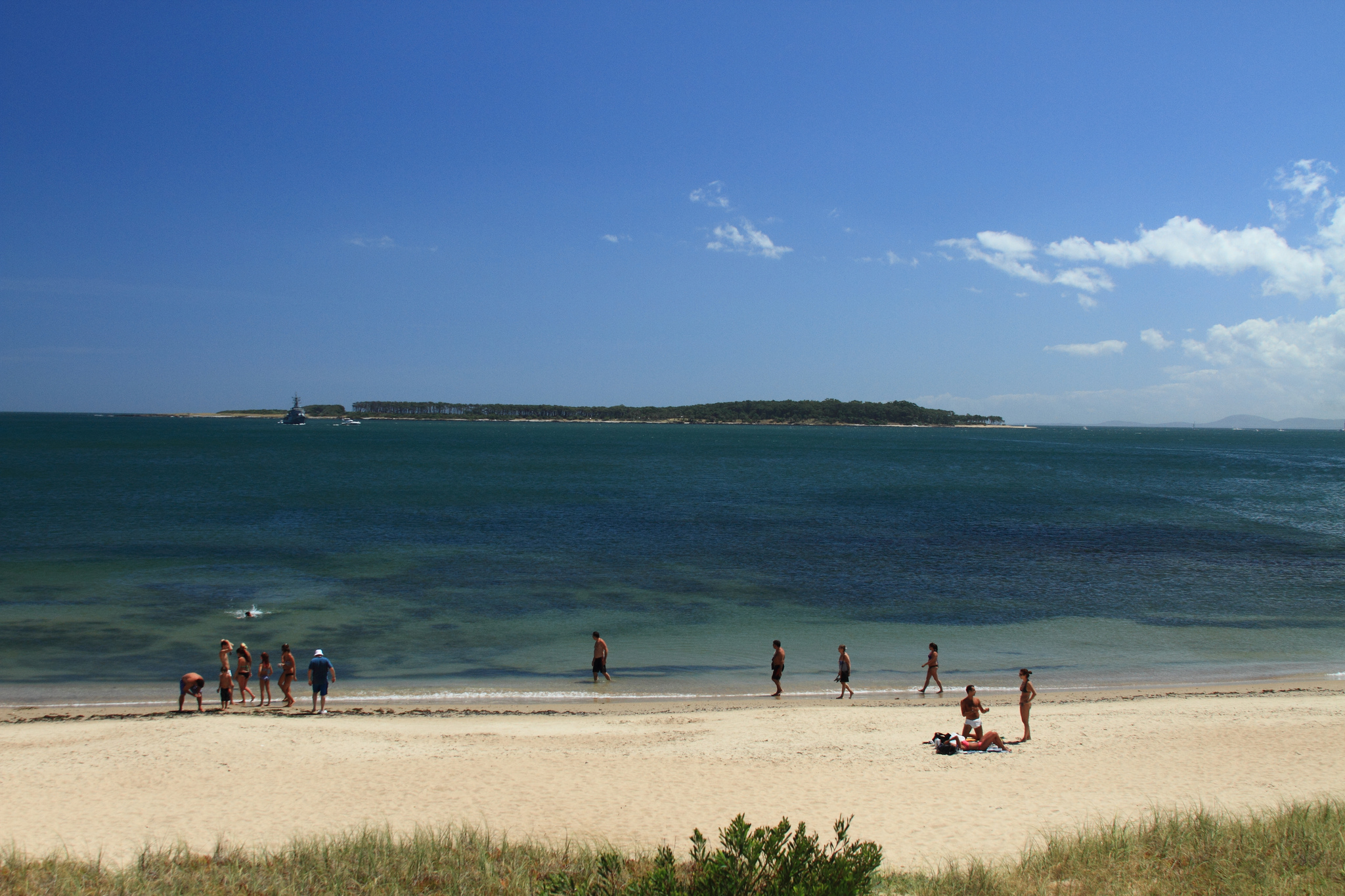 Playa Mansa de Punta del Este, una excelente opción para toda la ...