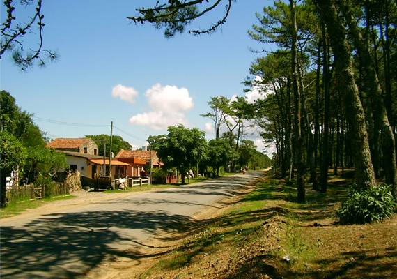 Barrio Country (La Paloma) - Casas en el Este